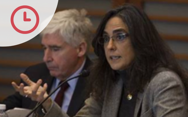 Five Minutes with Professor Marcia Castro | Harvard's Online Malaria ...