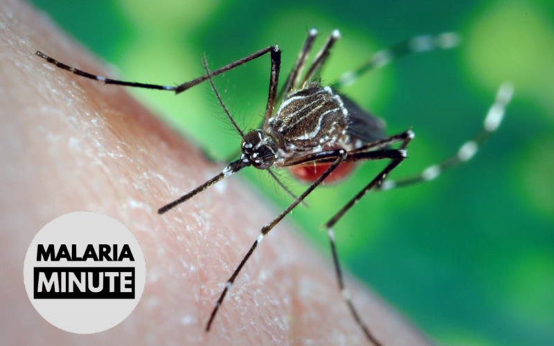 Japanese Scientists Identify Virus That Can Destroy Malaria Parasite ...